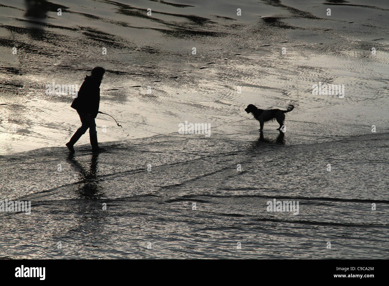 Mann mit Hund in der Silhouette am Strand bei Ebbe Stockfotografie - Alamy