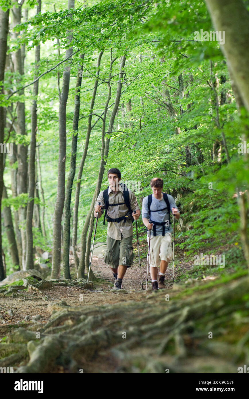 Junge Männer wandern gemeinsam im Wald Stockfotografie - Alamy