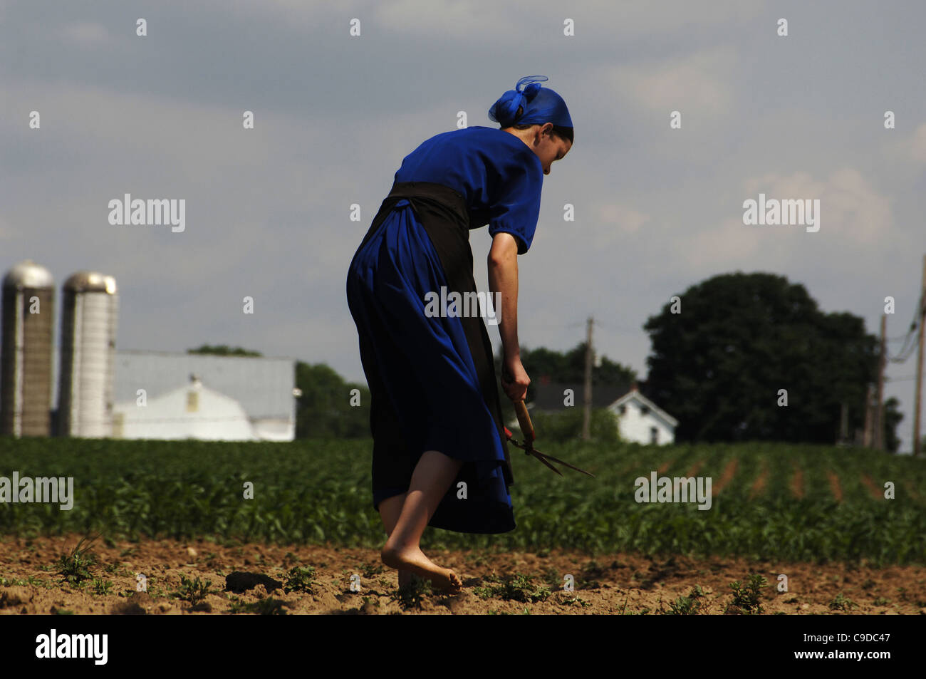 Amische bauerngemeinschaft -Fotos und -Bildmaterial in hoher Auflösung ...