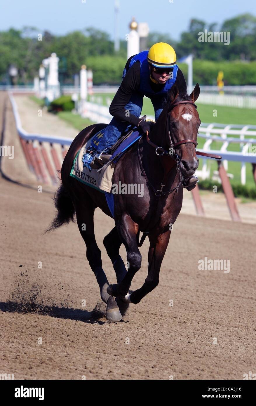 1. Juni 2012 - trainiert Elmont, New York, USA - Belmont Stakes ...