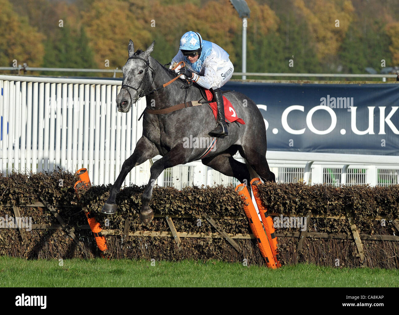 Geritten von dominic elsworth -Fotos und -Bildmaterial in hoher ...
