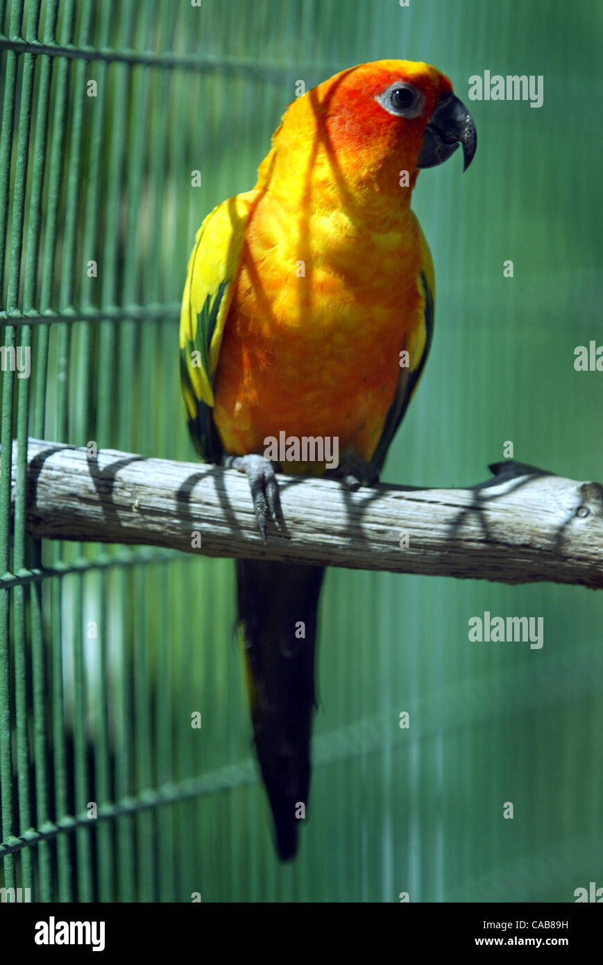051704--Parrot Jungle Island in Miami verfügt über mehr als 500 Arten ...