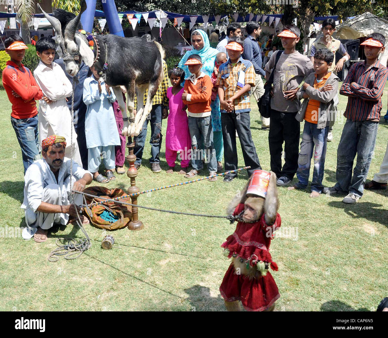 Ziege und affe -Fotos und -Bildmaterial in hoher Auflösung – Alamy