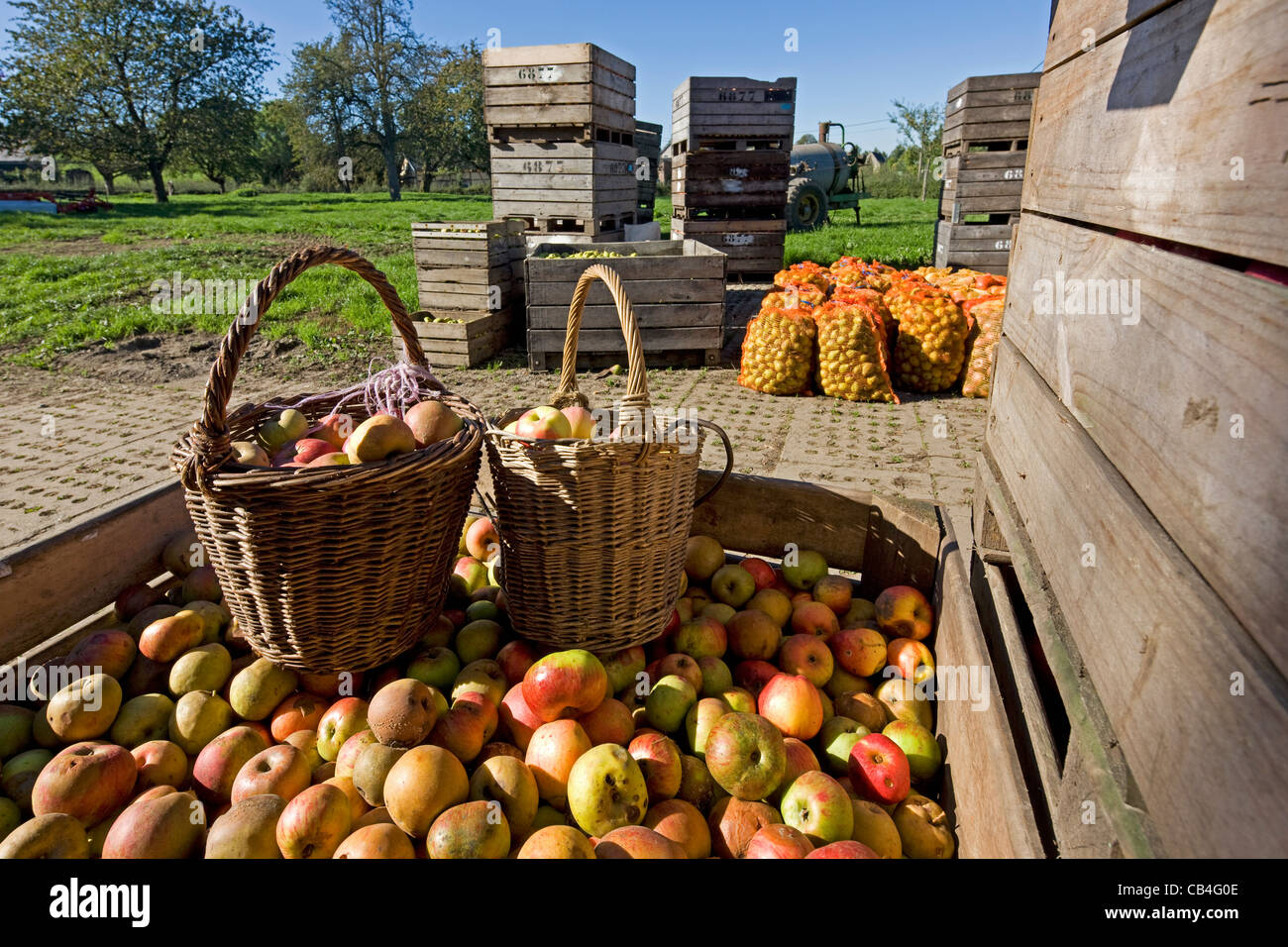 Obstkisten Aus Holz Stockfotos und -bilder Kaufen - Alamy