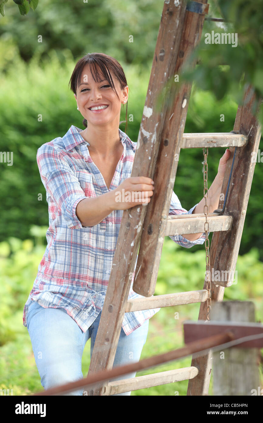 Fruit picker -Fotos und -Bildmaterial in hoher Auflösung – Alamy