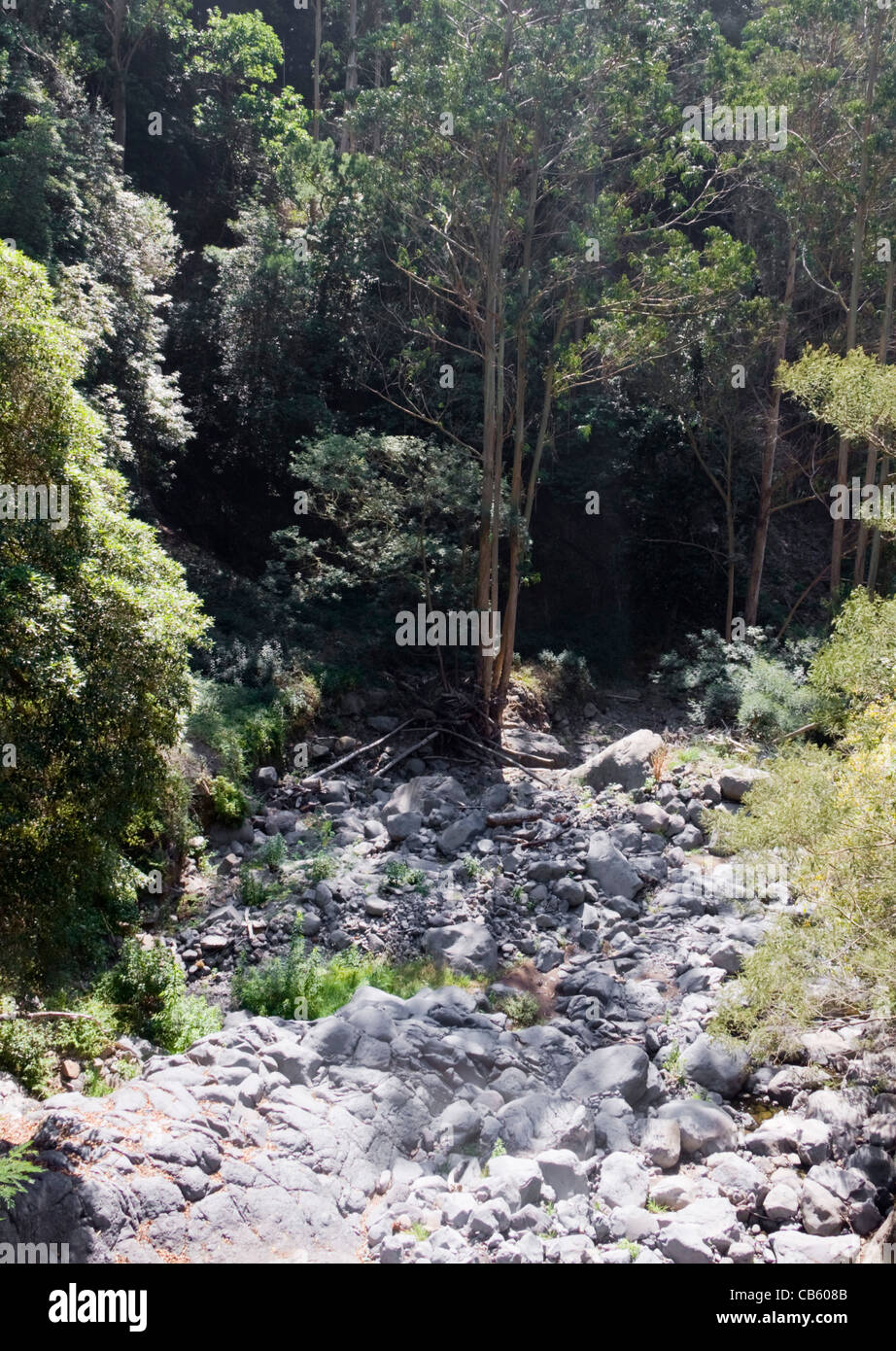Trockene Flussbett in Corredor Verde da Ribeira de Joao Gomes auf zu ...