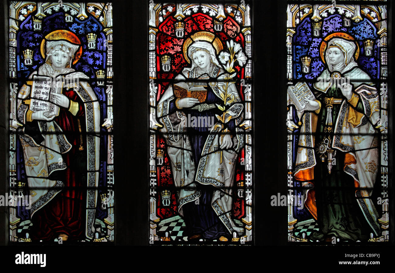 Heiliger dorcas -Fotos und -Bildmaterial in hoher Auflösung – Alamy