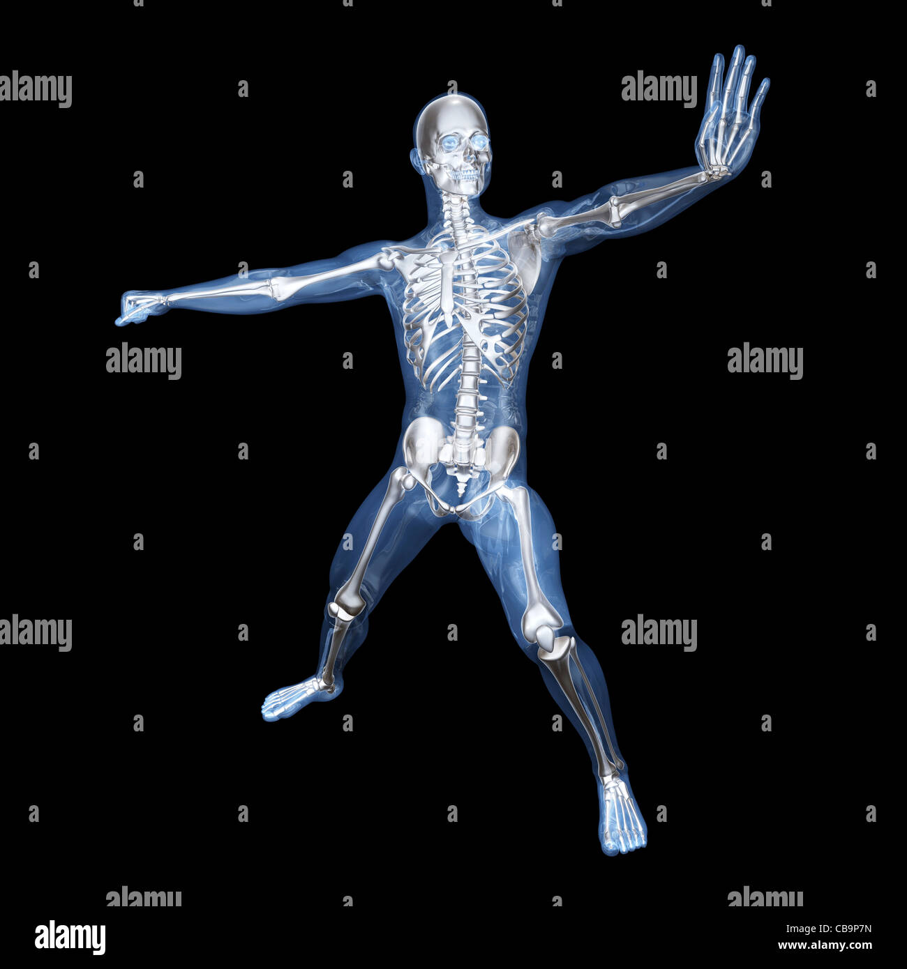 Bone Fight Fighting Stockfotos und -bilder Kaufen - Alamy