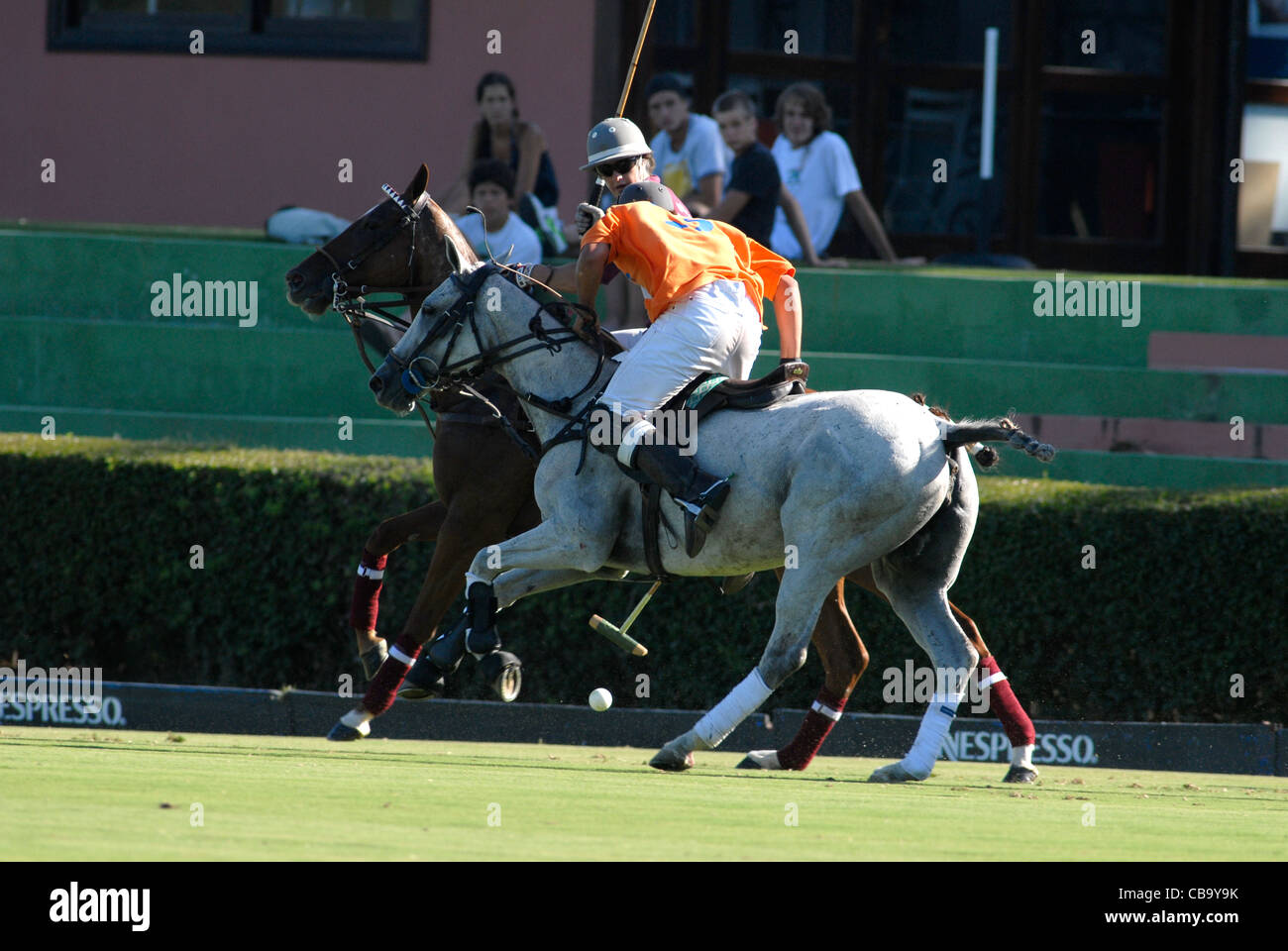 Spectators watching polo match -Fotos und -Bildmaterial in hoher ...