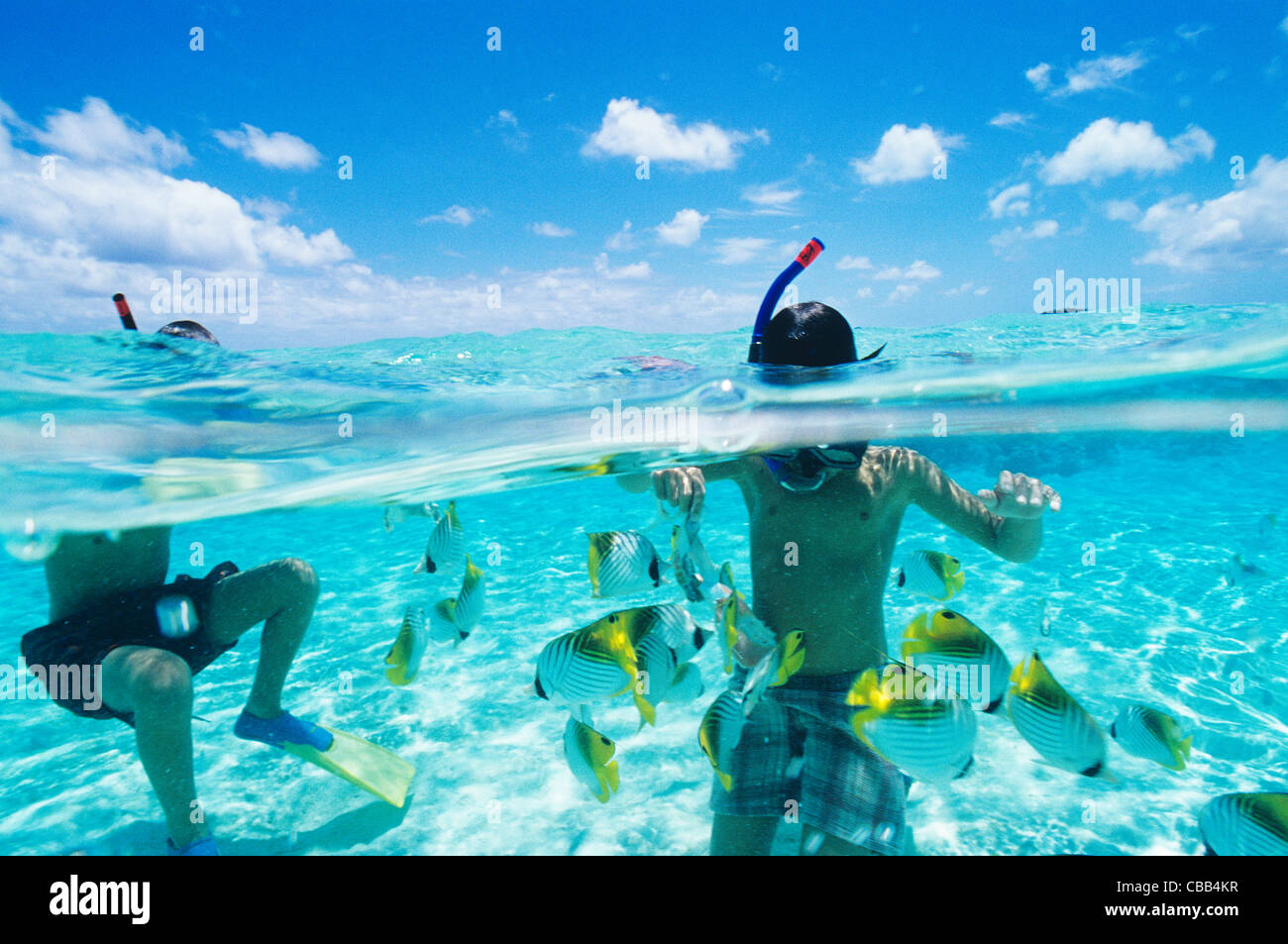 Snorkeling aitutaki cook islands -Fotos und -Bildmaterial in hoher ...
