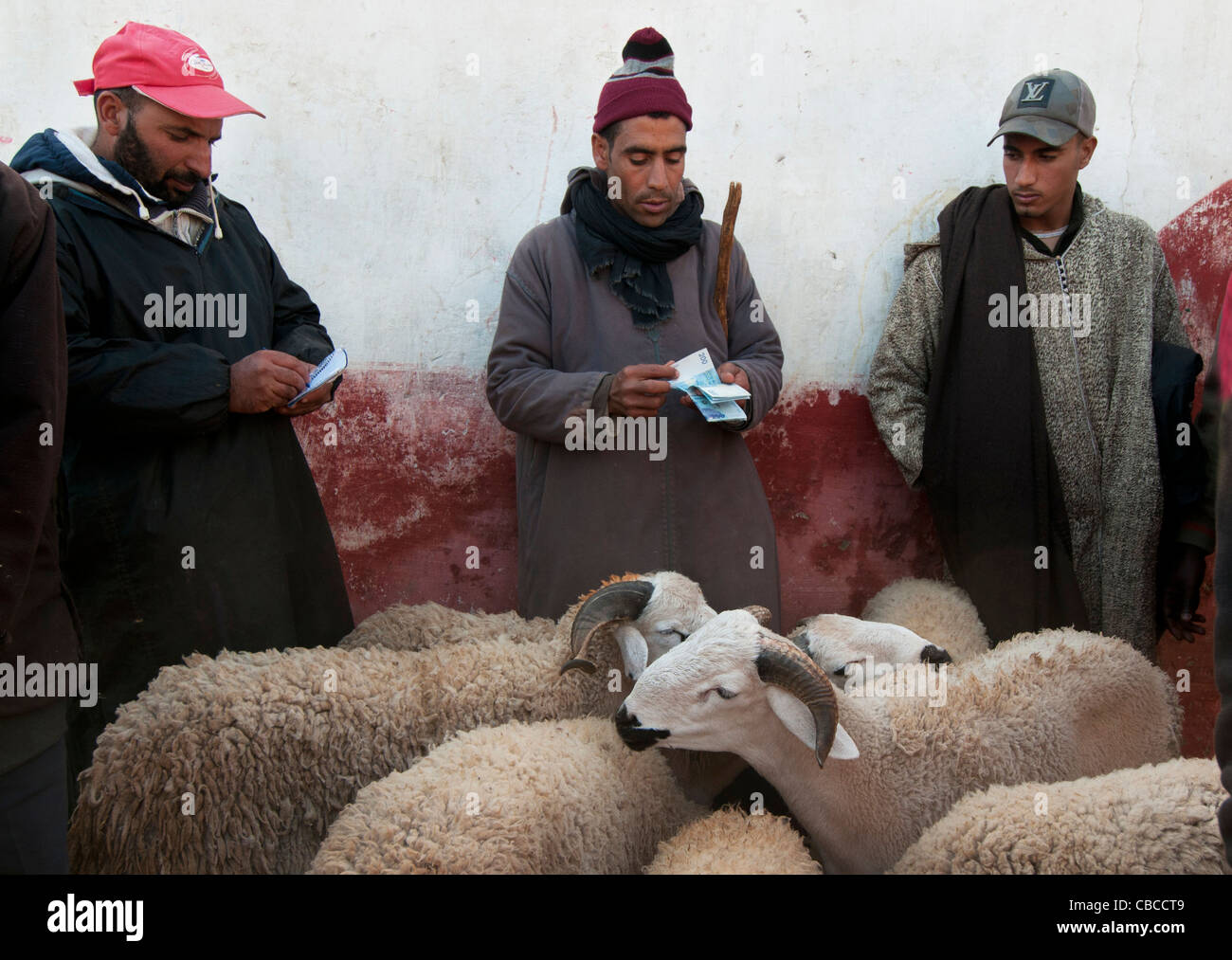 Sheep sacrifice -Fotos und -Bildmaterial in hoher Auflösung – Alamy
