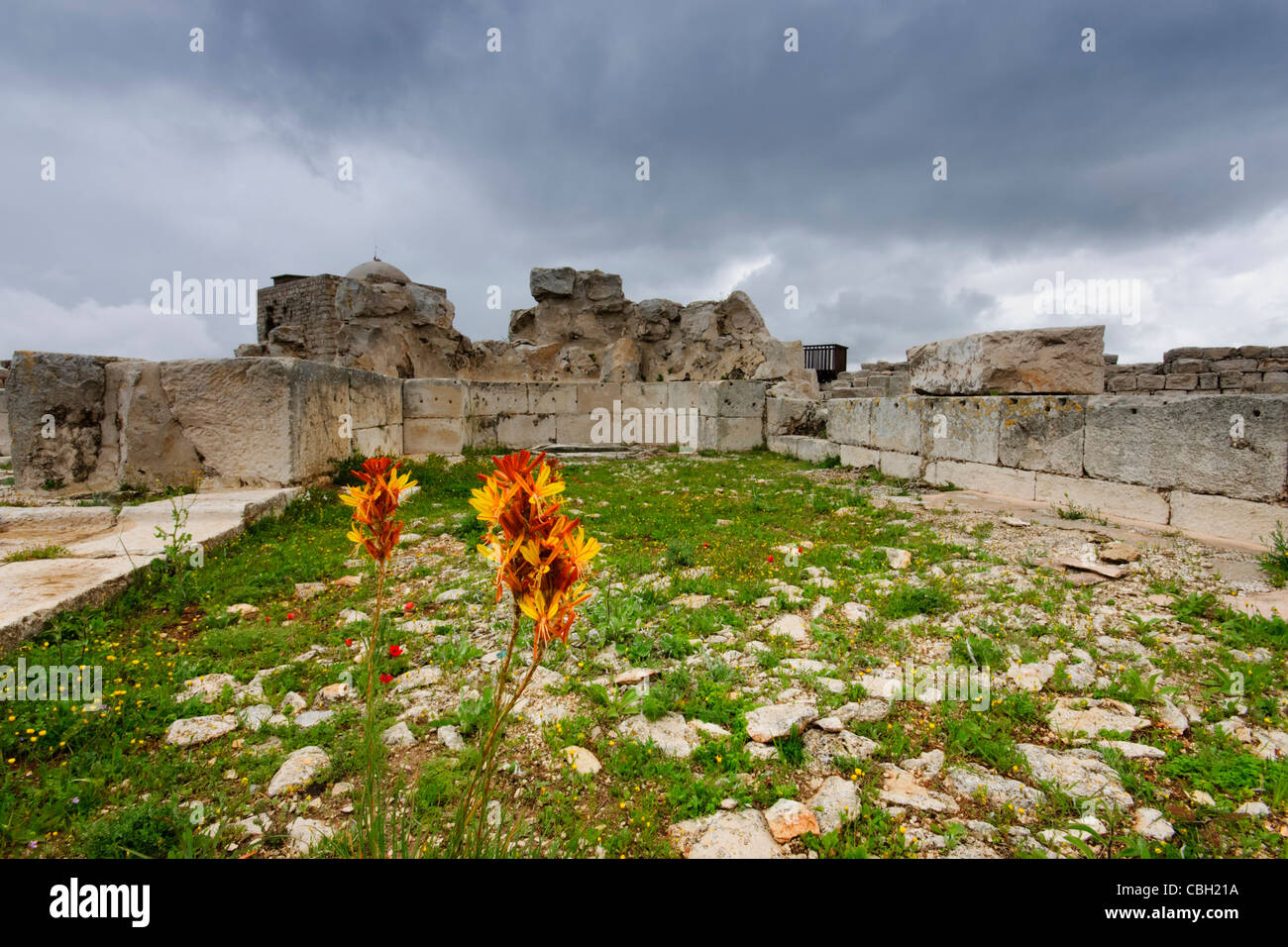 Grizim shechem nablus israel -Fotos und -Bildmaterial in hoher ...