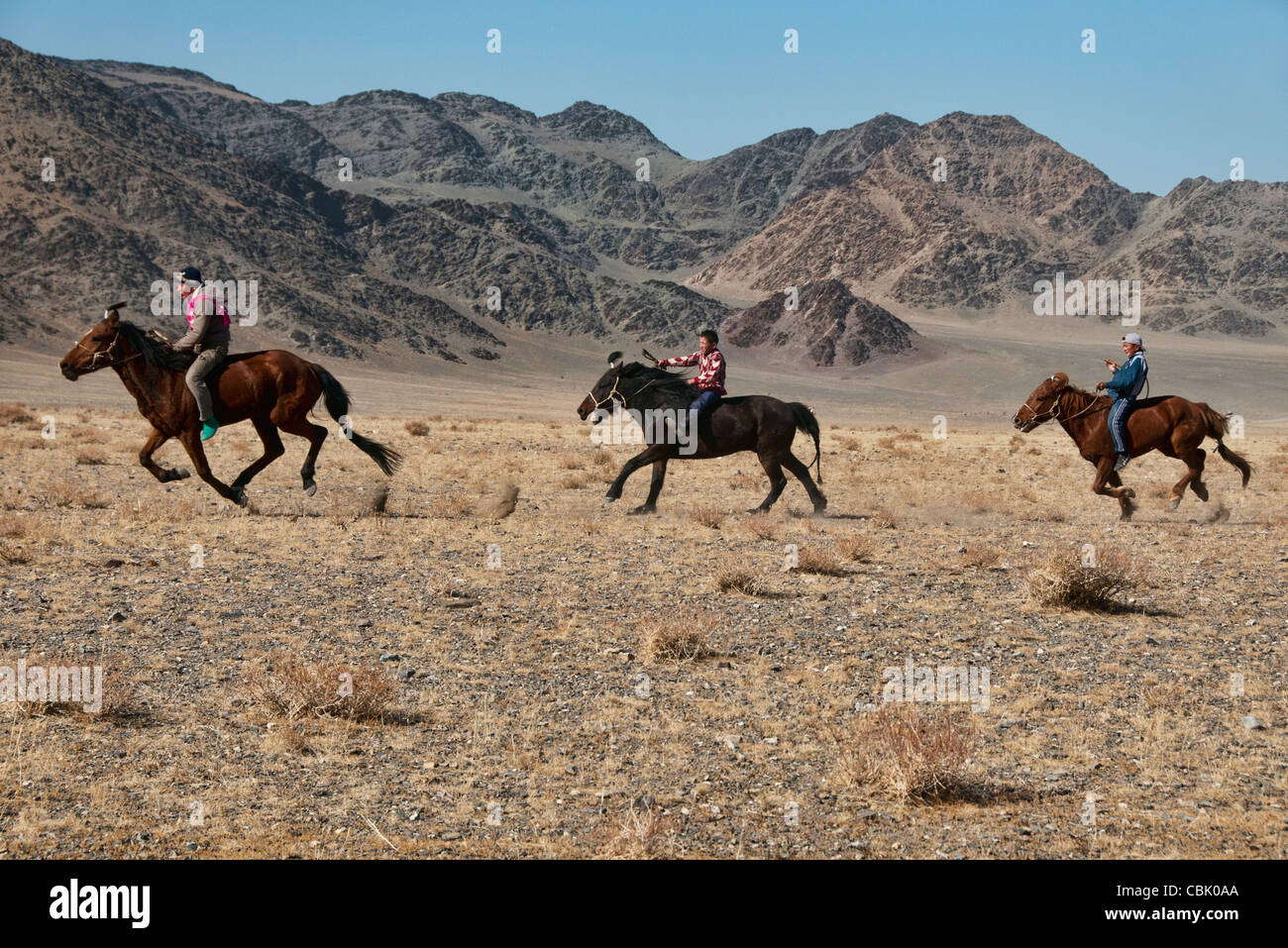 Mongolei pferd -Fotos und -Bildmaterial in hoher Auflösung – Alamy
