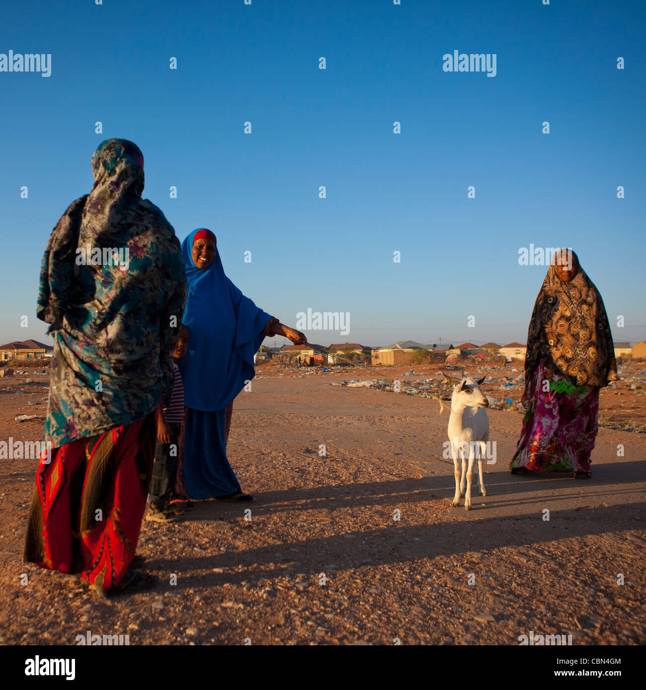 Somalia Somaliland Livestock Goat Stockfotos und -bilder Kaufen - Alamy