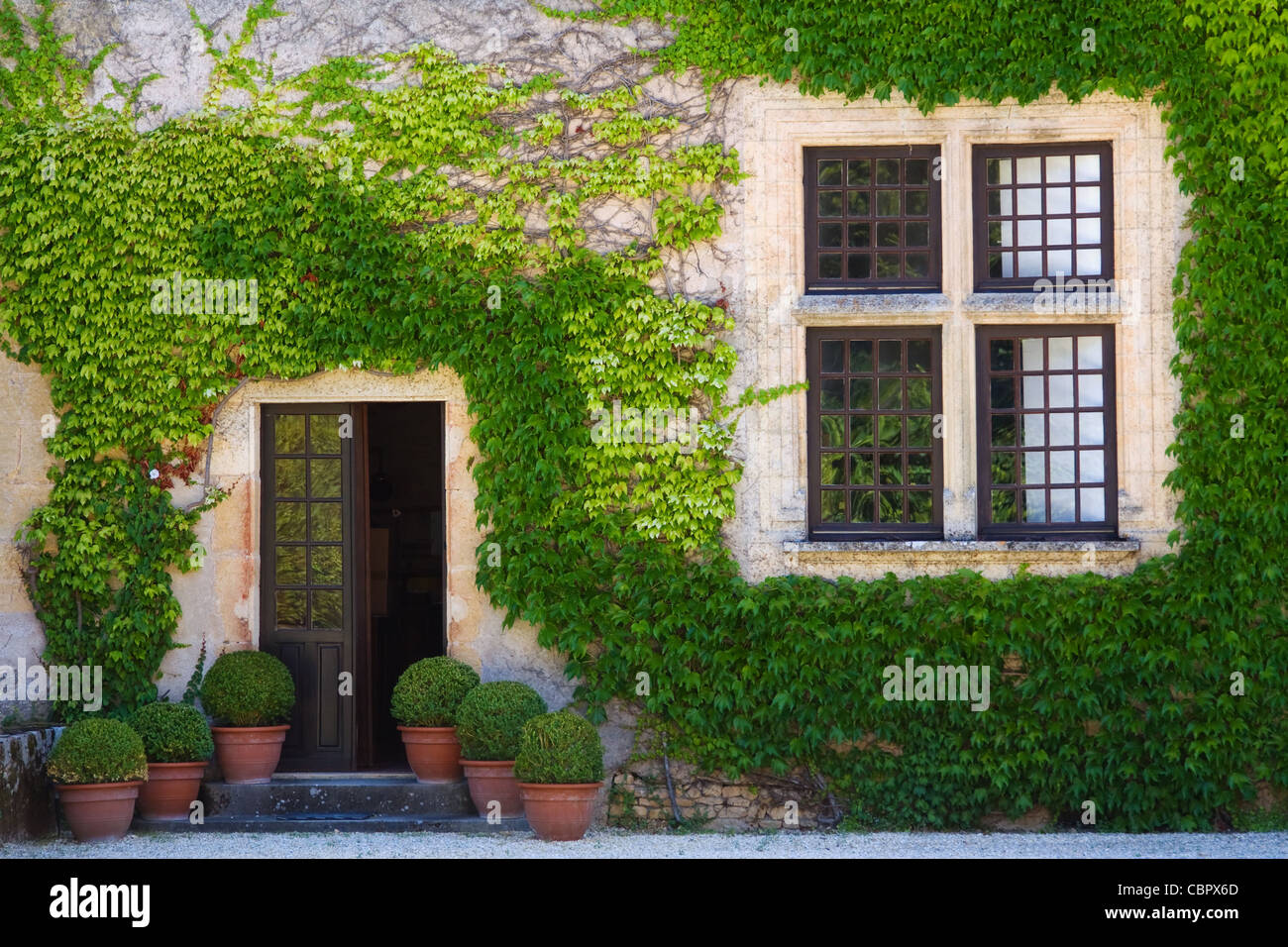 Efeu plattiertes haus -Fotos und -Bildmaterial in hoher Auflösung – Alamy