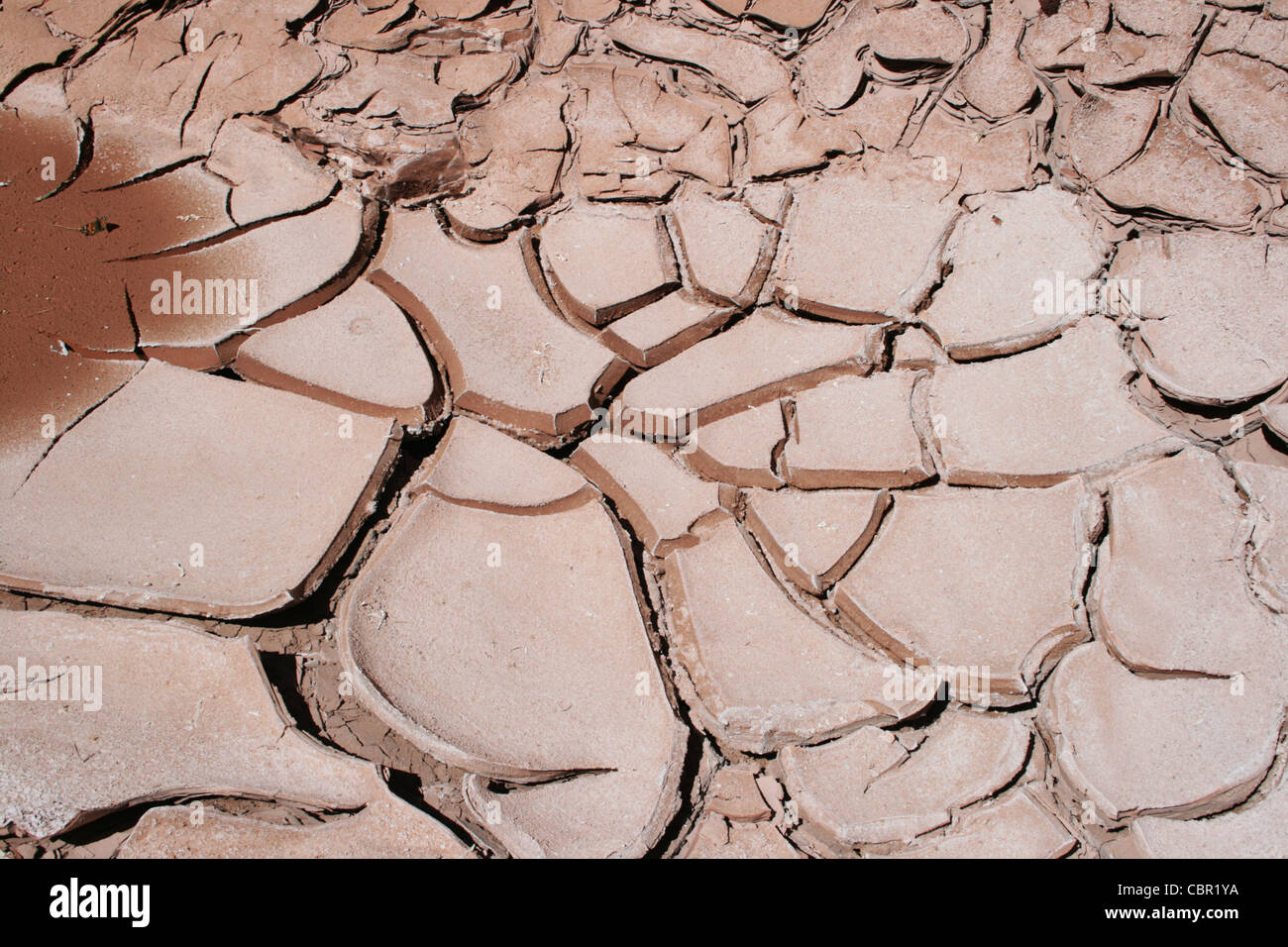 Schlamm-Risse-Form als ein Bachbett vertrocknet Stockfotografie - Alamy