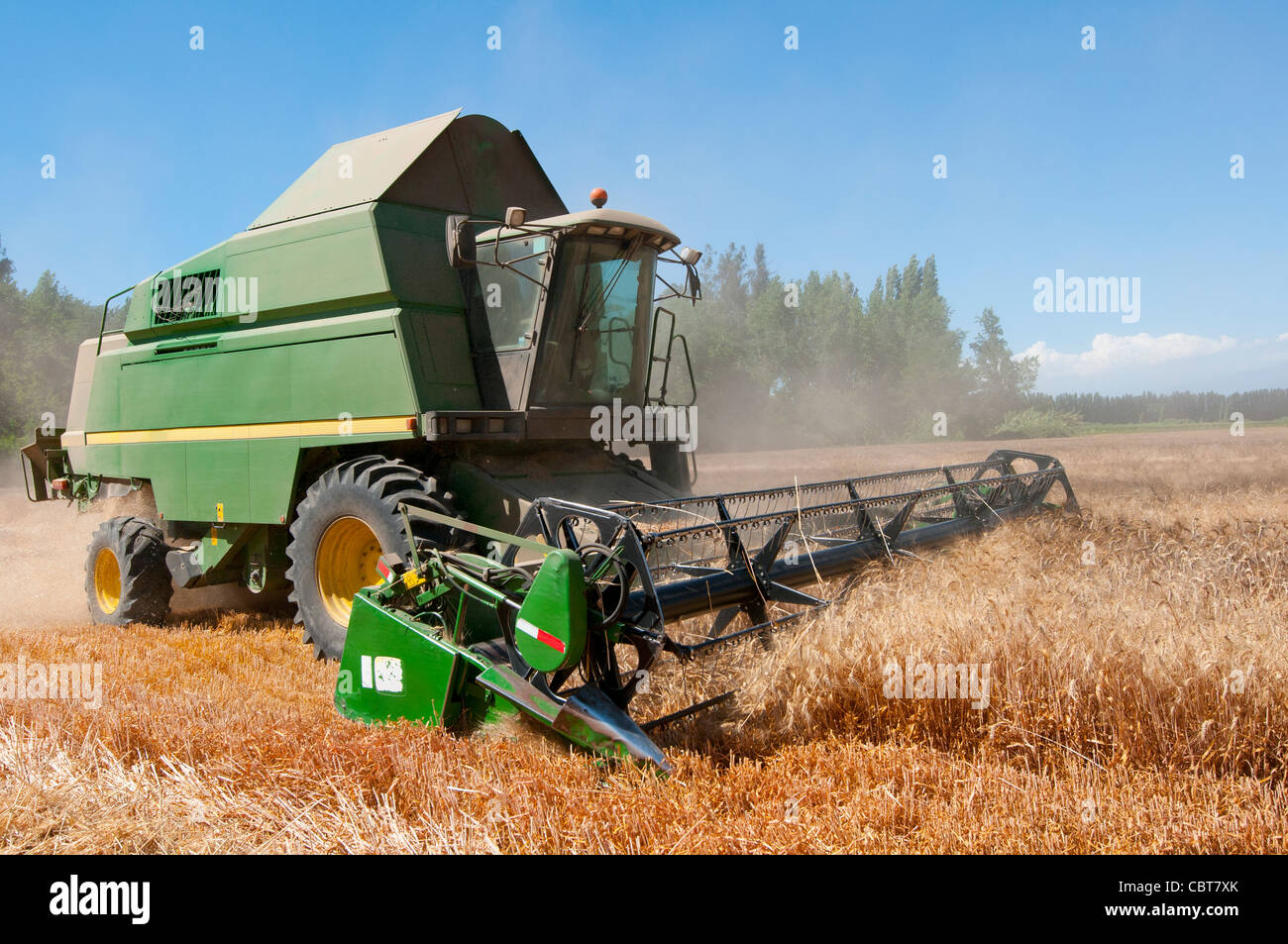 Weizen Ernte Maschine in voller Arbeit Stockfotografie - Alamy