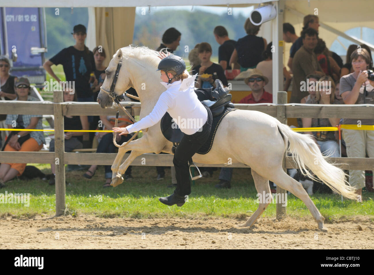 Horse rider falling from horse -Fotos und -Bildmaterial in hoher ...