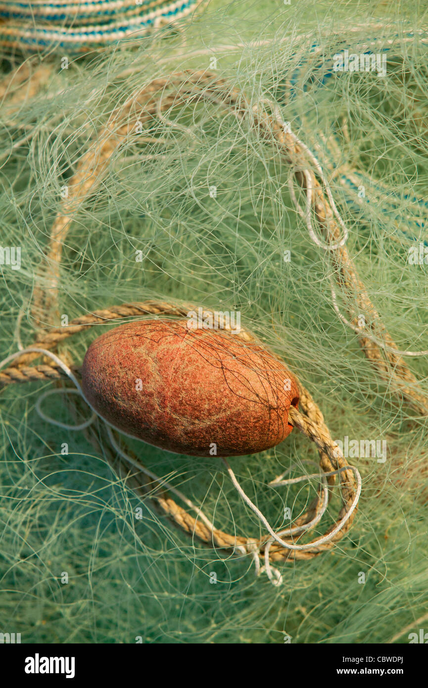 Wasserfisch mit netz -Fotos und -Bildmaterial in hoher Auflösung – Alamy