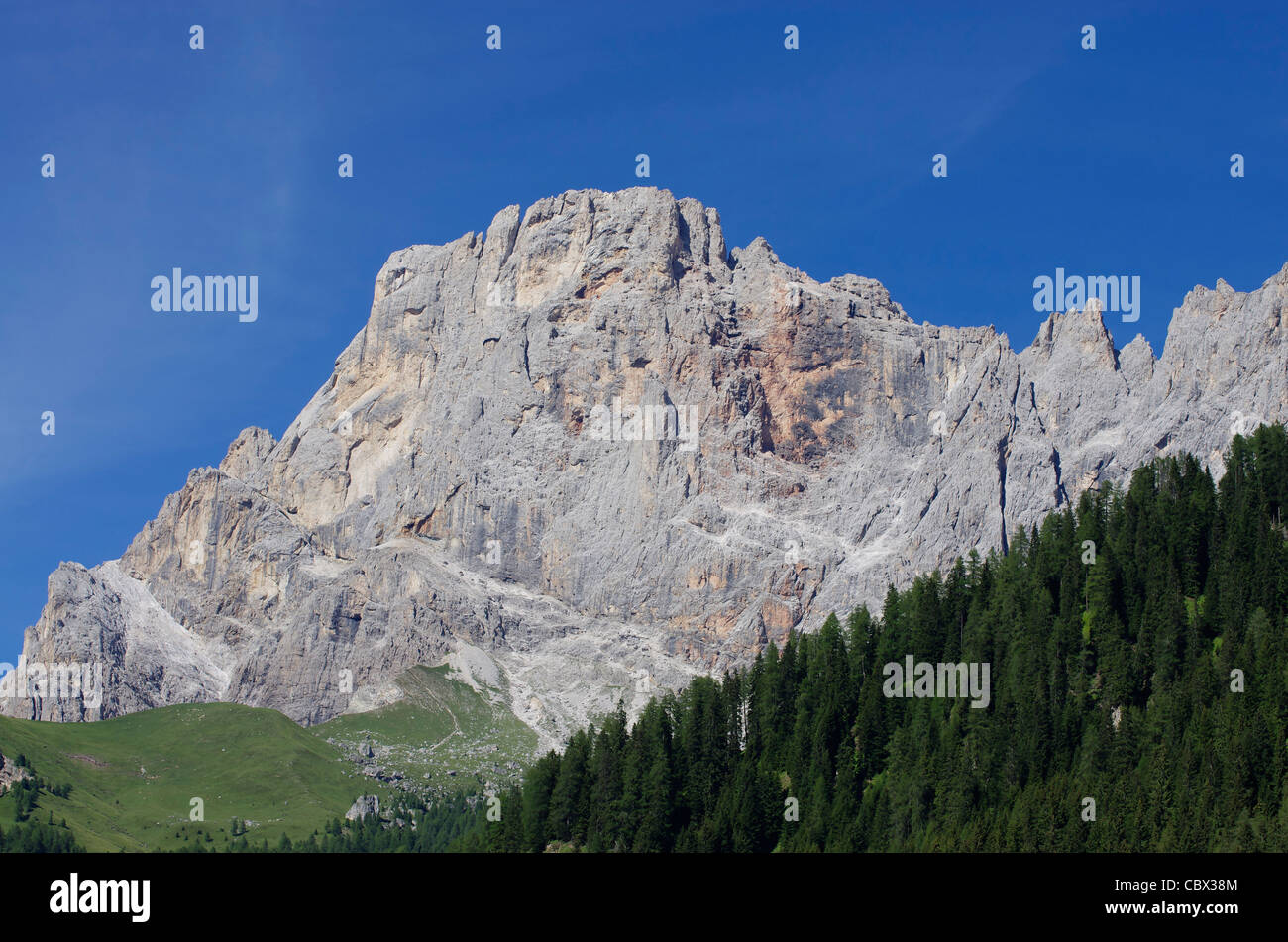 Cimone della pala -Fotos und -Bildmaterial in hoher Auflösung – Alamy
