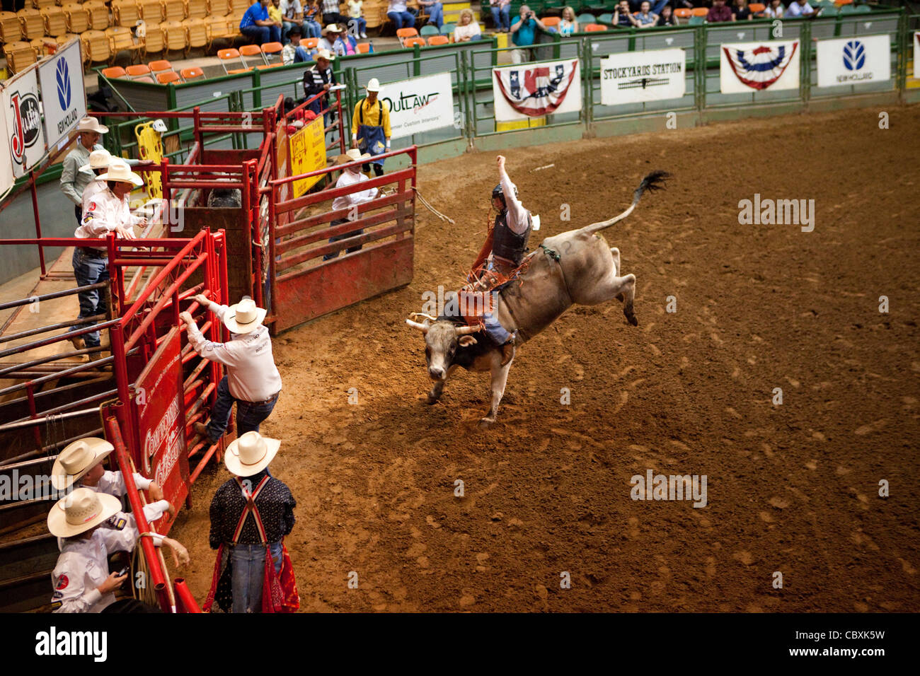 Bull Riding Rodeo Texas Stockfotos und -bilder Kaufen - Alamy
