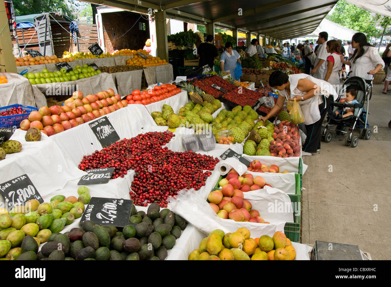 South america chile santiago fruits -Fotos und -Bildmaterial in hoher ...