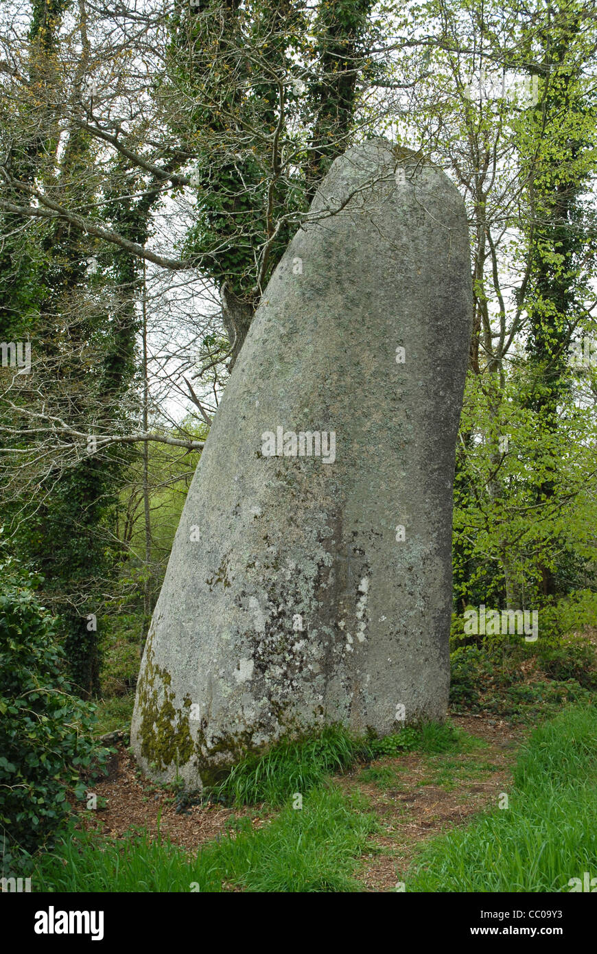 Asterix obelix -Fotos und -Bildmaterial in hoher Auflösung – Alamy