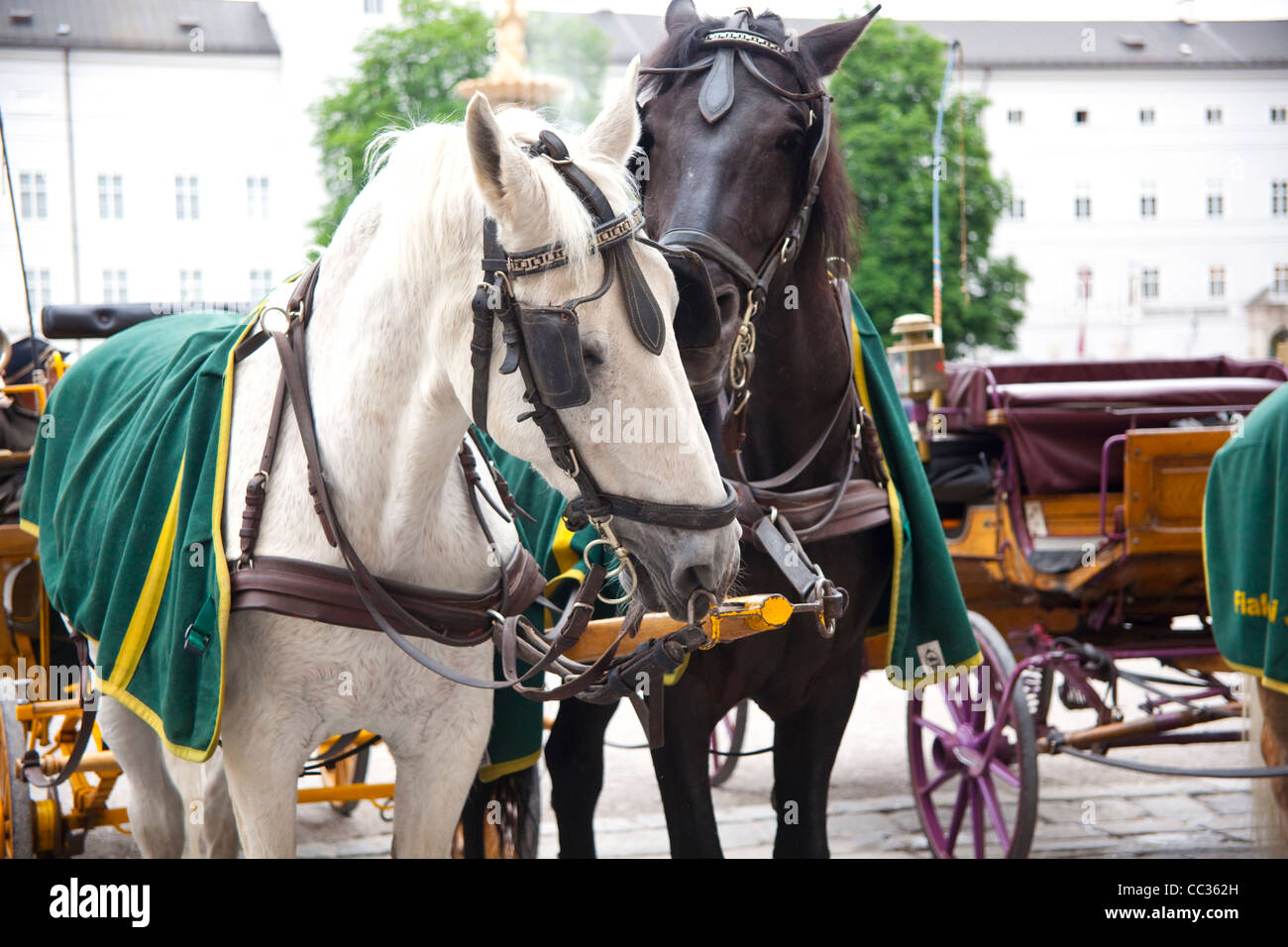 Kutschen in salzburg -Fotos und -Bildmaterial in hoher Auflösung – Alamy