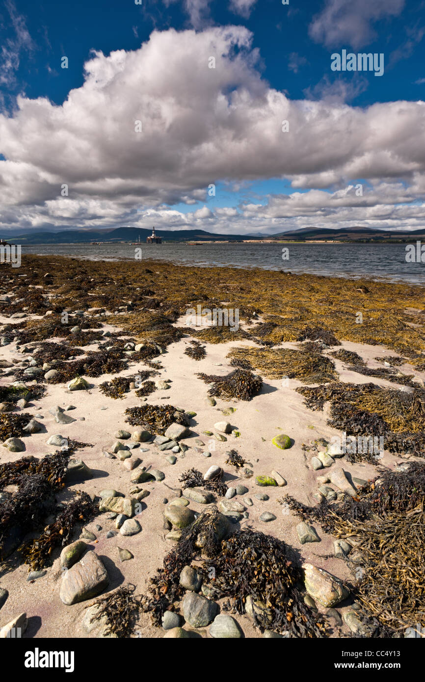 Nigg bay cromarty firth -Fotos und -Bildmaterial in hoher Auflösung – Alamy