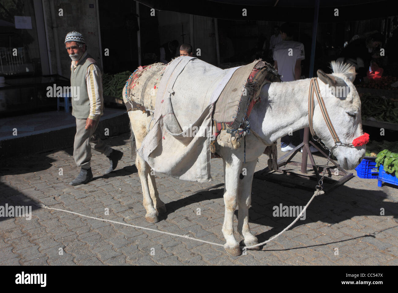 Mann und esel -Fotos und -Bildmaterial in hoher Auflösung – Alamy