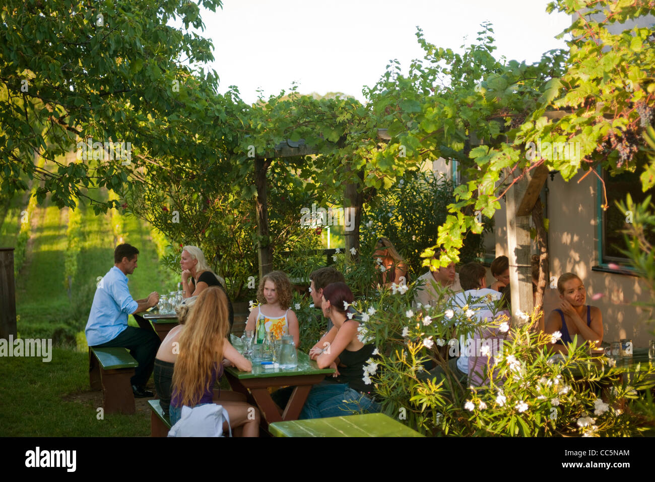 Österreich, Wien 19, Wienerwald, Grinzing, Heuriger (Weingut Zawodsky ...