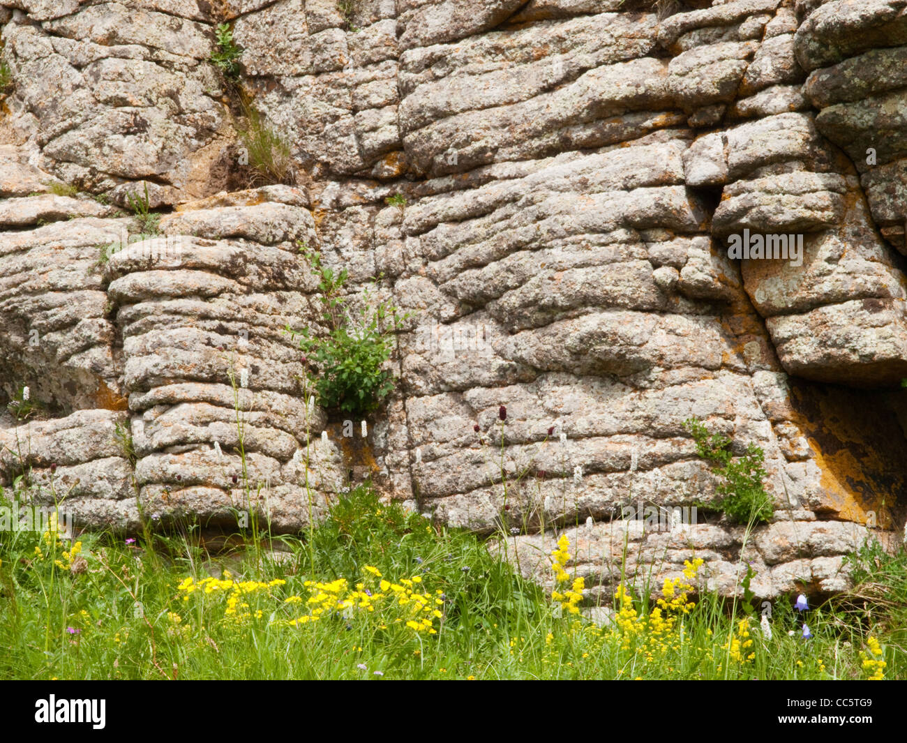 Nahaufnahme der erodierten Felsen Formation, Arshihaty Granit Wald ...