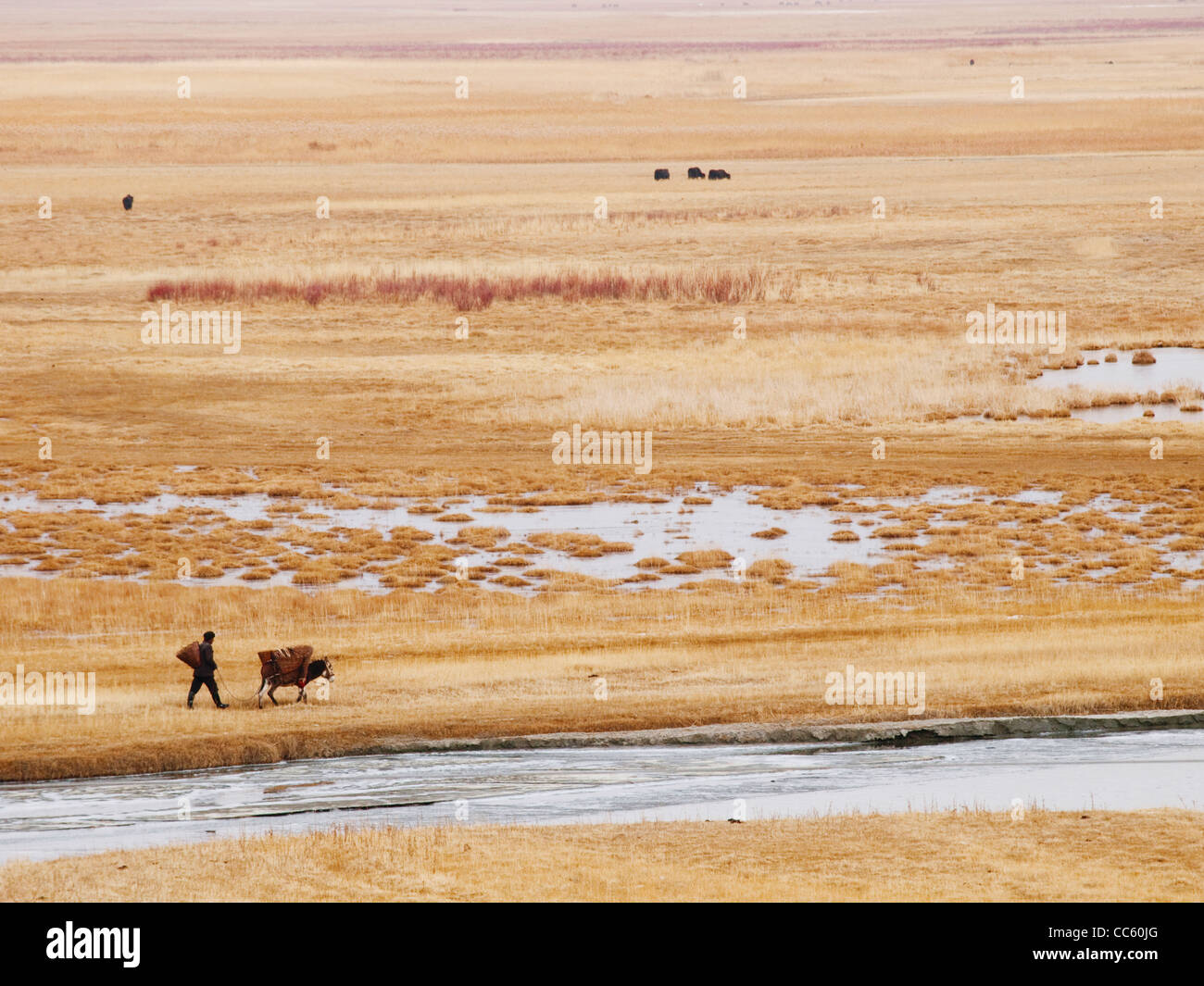 Bayingolin mongol autonome präfektur -Fotos und -Bildmaterial in hoher ...