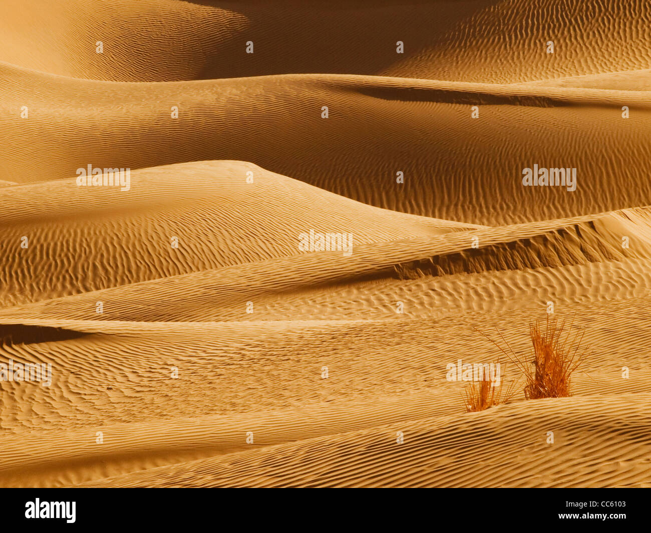 Taklamakan-Wüste, Xinjiang Uyghur autonome Region, China ...