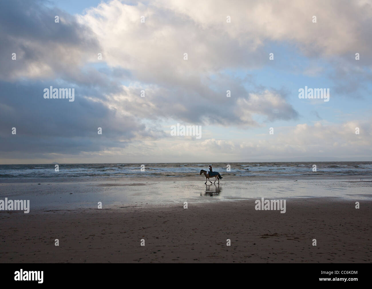 Reiterin strand -Fotos und -Bildmaterial in hoher Auflösung – Alamy