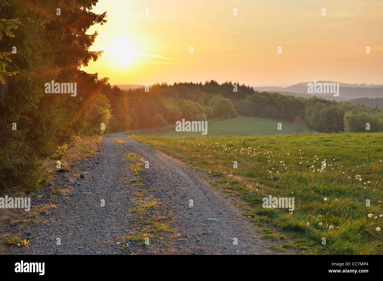 Landschaft im hochsauerland -Fotos und -Bildmaterial in hoher Auflösung ...