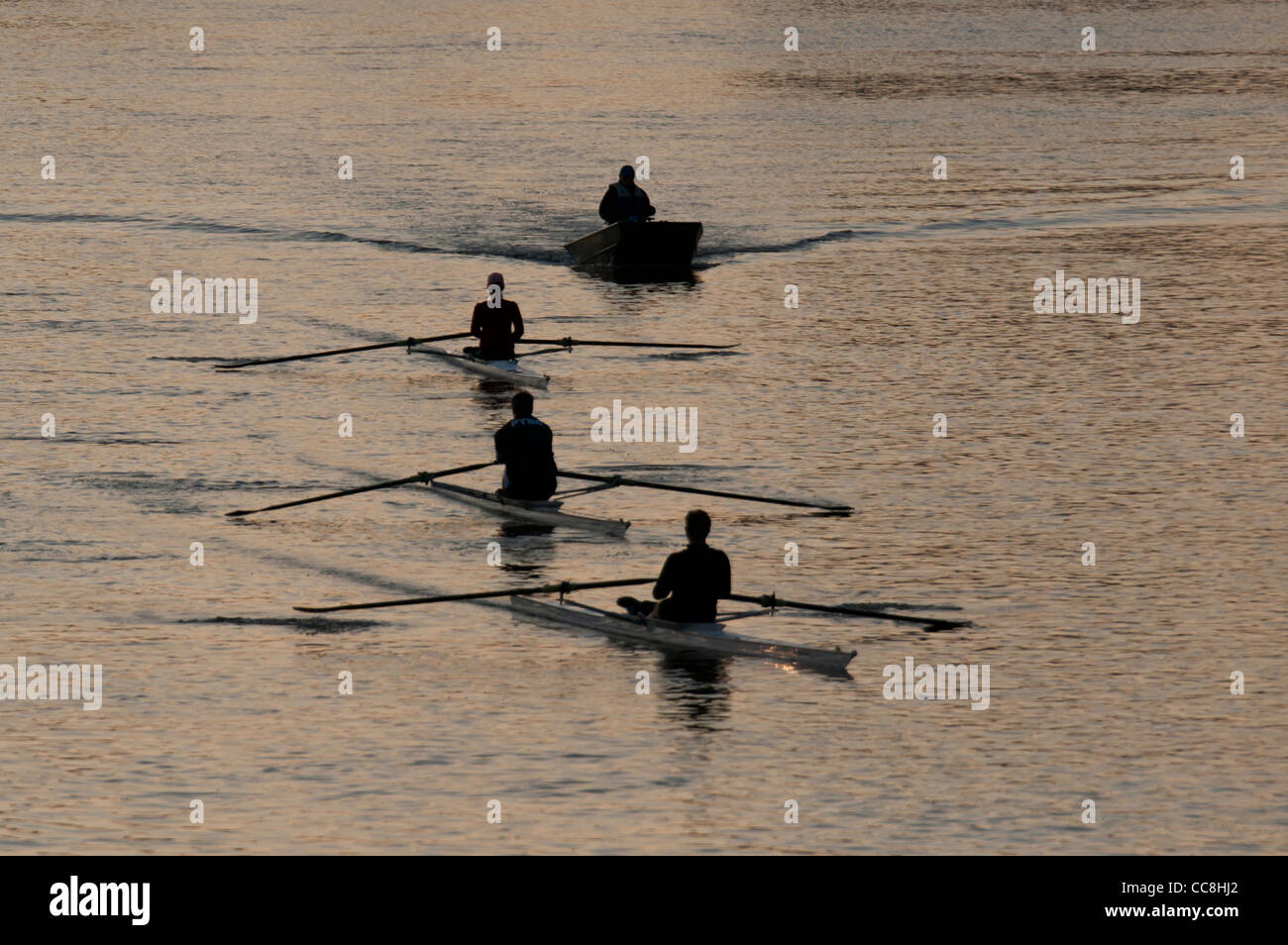 Drei Ruderer auf der Themse, Barnes, London Stockfotografie - Alamy