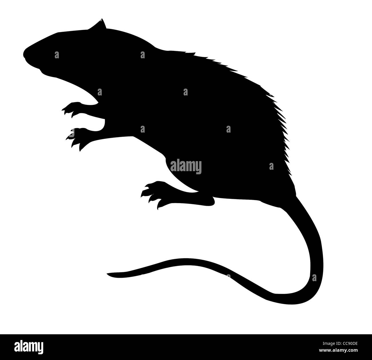 Vektor ratte -Fotos und -Bildmaterial in hoher Auflösung – Alamy
