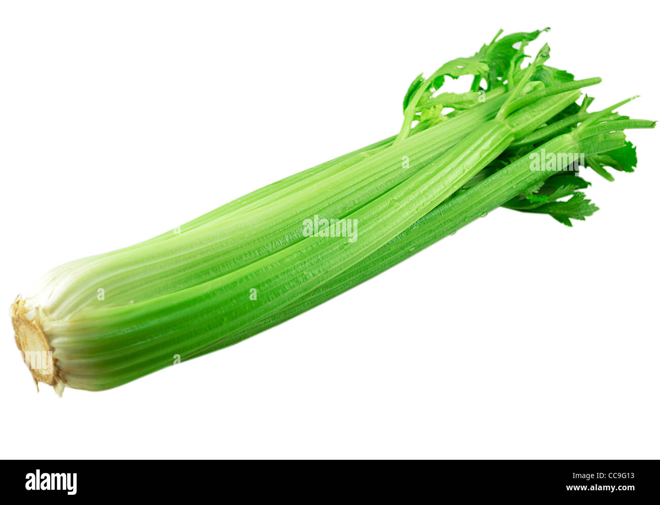 Grüner sellerie Ausgeschnittene Stockfotos und -bilder - Alamy