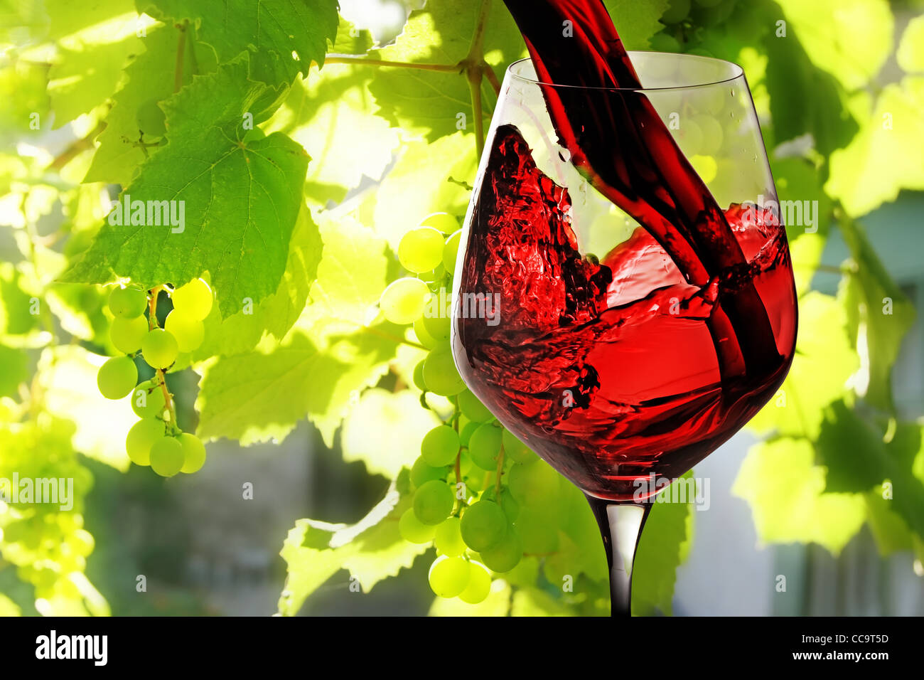 Der meiste wein -Fotos und -Bildmaterial in hoher Auflösung – Alamy