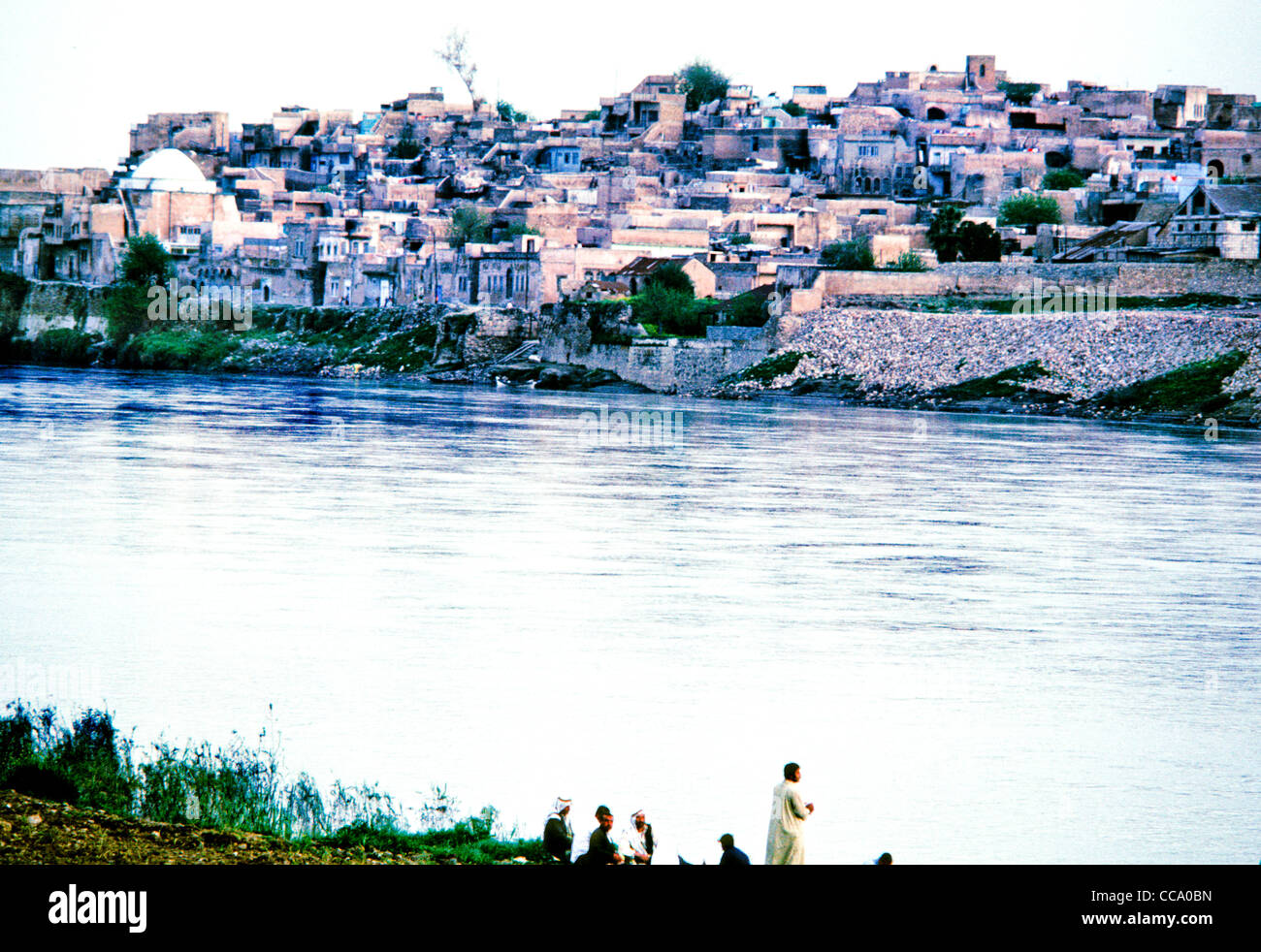 Tigris Iraq Stockfotos und -bilder Kaufen - Alamy