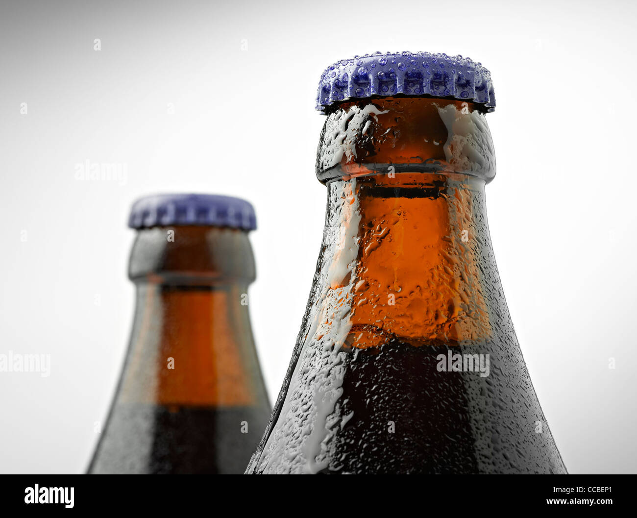 Trappisten bier -Fotos und -Bildmaterial in hoher Auflösung – Alamy