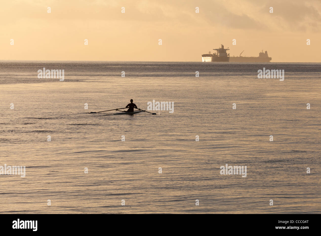 Ein Ruderer in einem Boot einzelner scull Stockfotografie - Alamy