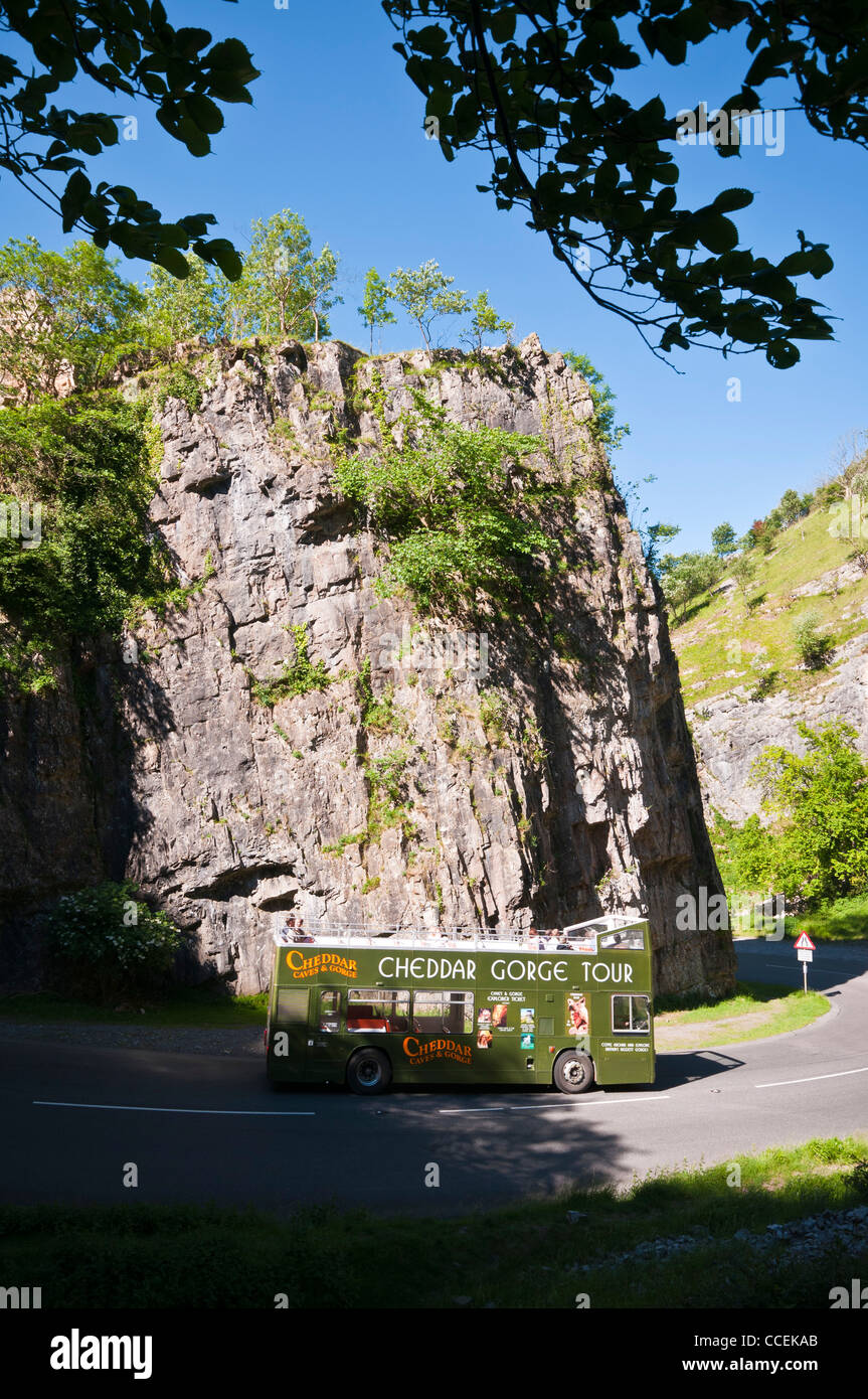 Bus in der kurve -Fotos und -Bildmaterial in hoher Auflösung – Alamy