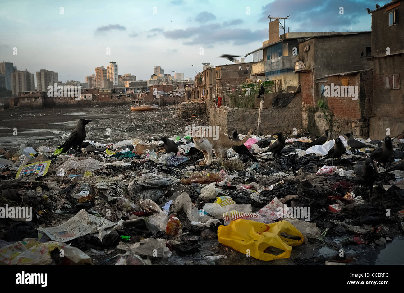Bombay, Slum in Colaba Stockfotografie - Alamy