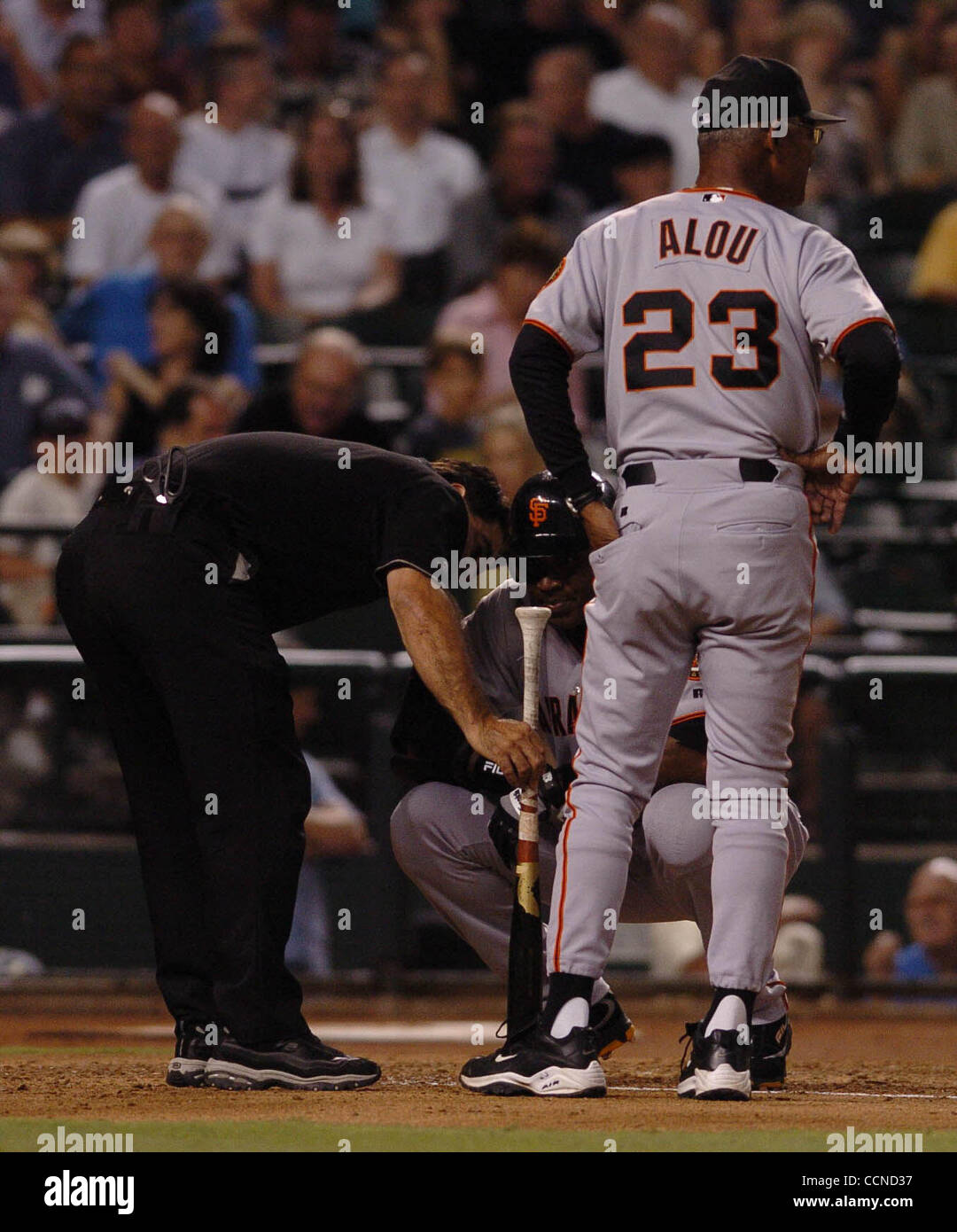 San Francisco Giants Barry Bonds, #25, wird von Cheftrainer Stan Conte ...