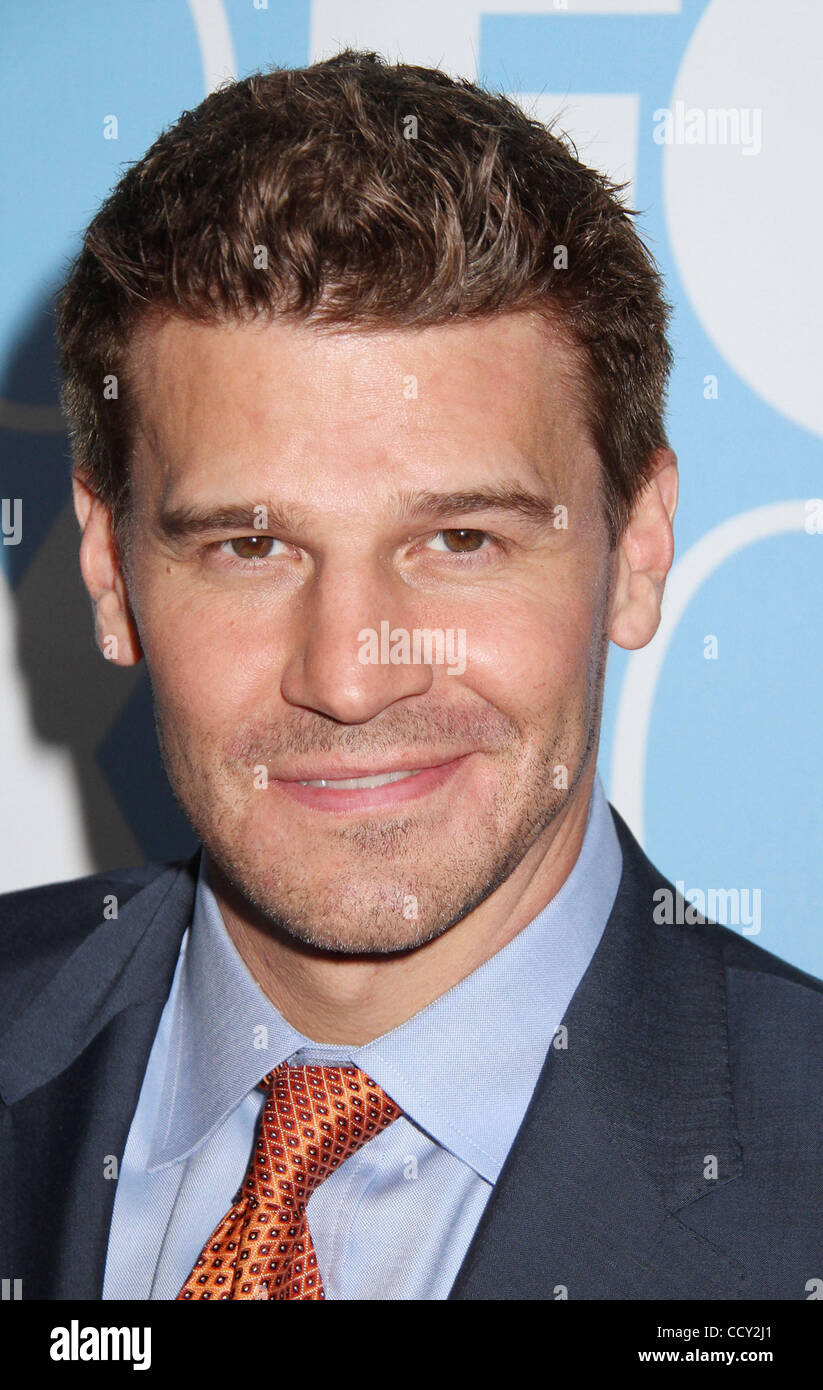 Schauspieler DAVID BOREANAZ besucht die FOX 2010 Upfront after-Party in ...