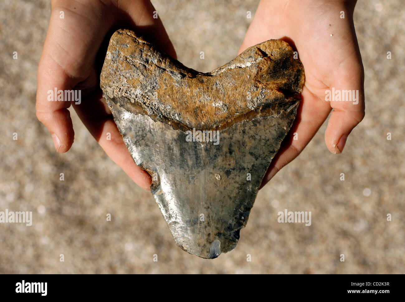 Dirk zahn -Fotos und -Bildmaterial in hoher Auflösung – Alamy