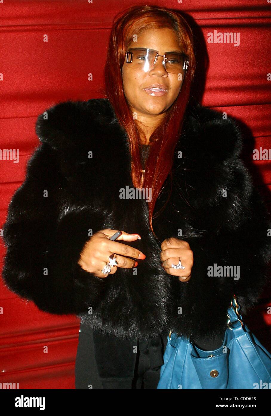 1. Januar 2011 - New York, New York, USA - MISA HILTON BRY. K28626RM ...