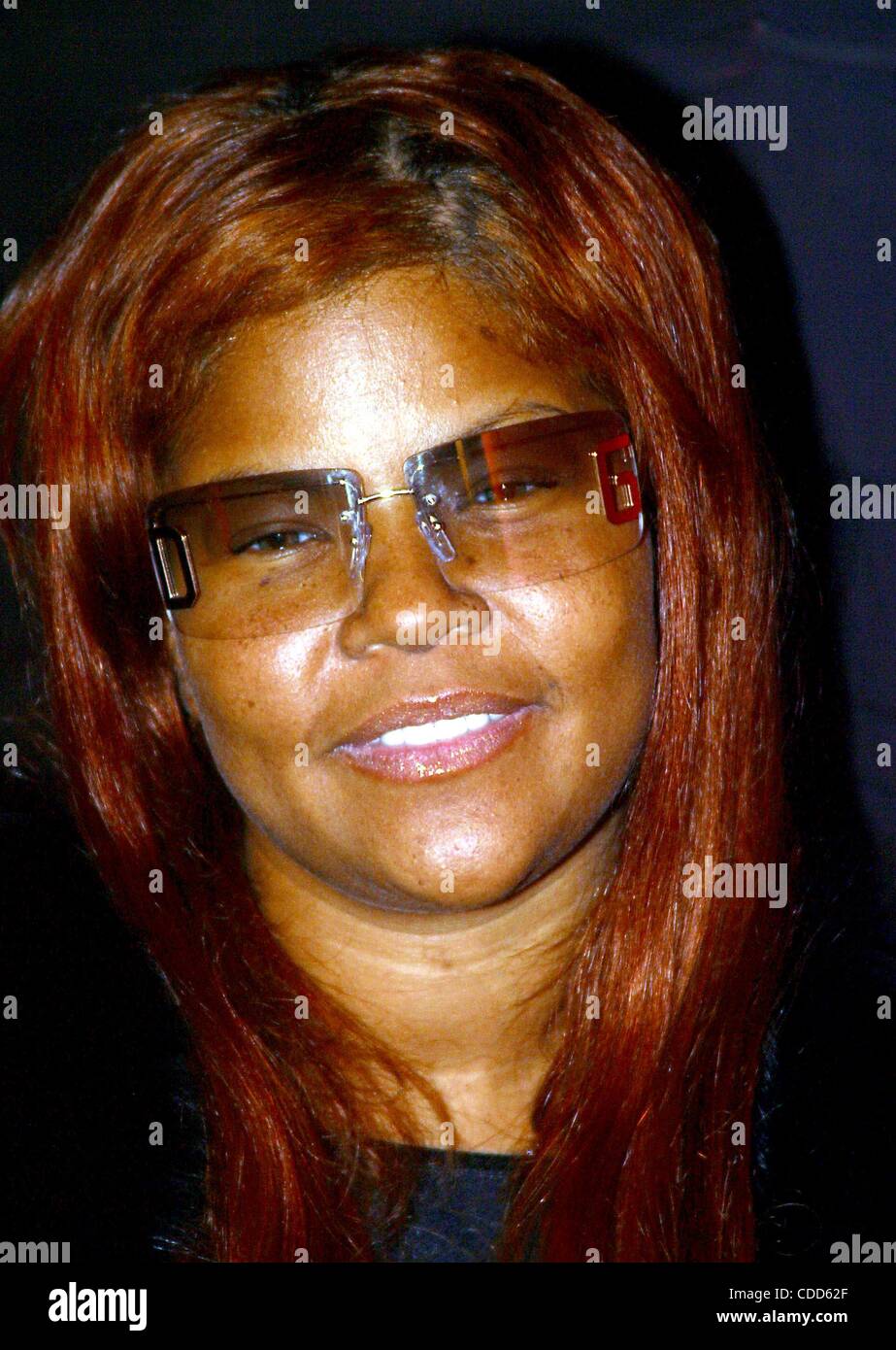 1. Januar 2011 - New York, New York, USA - MISA HILTON BRY. K28626RM ...